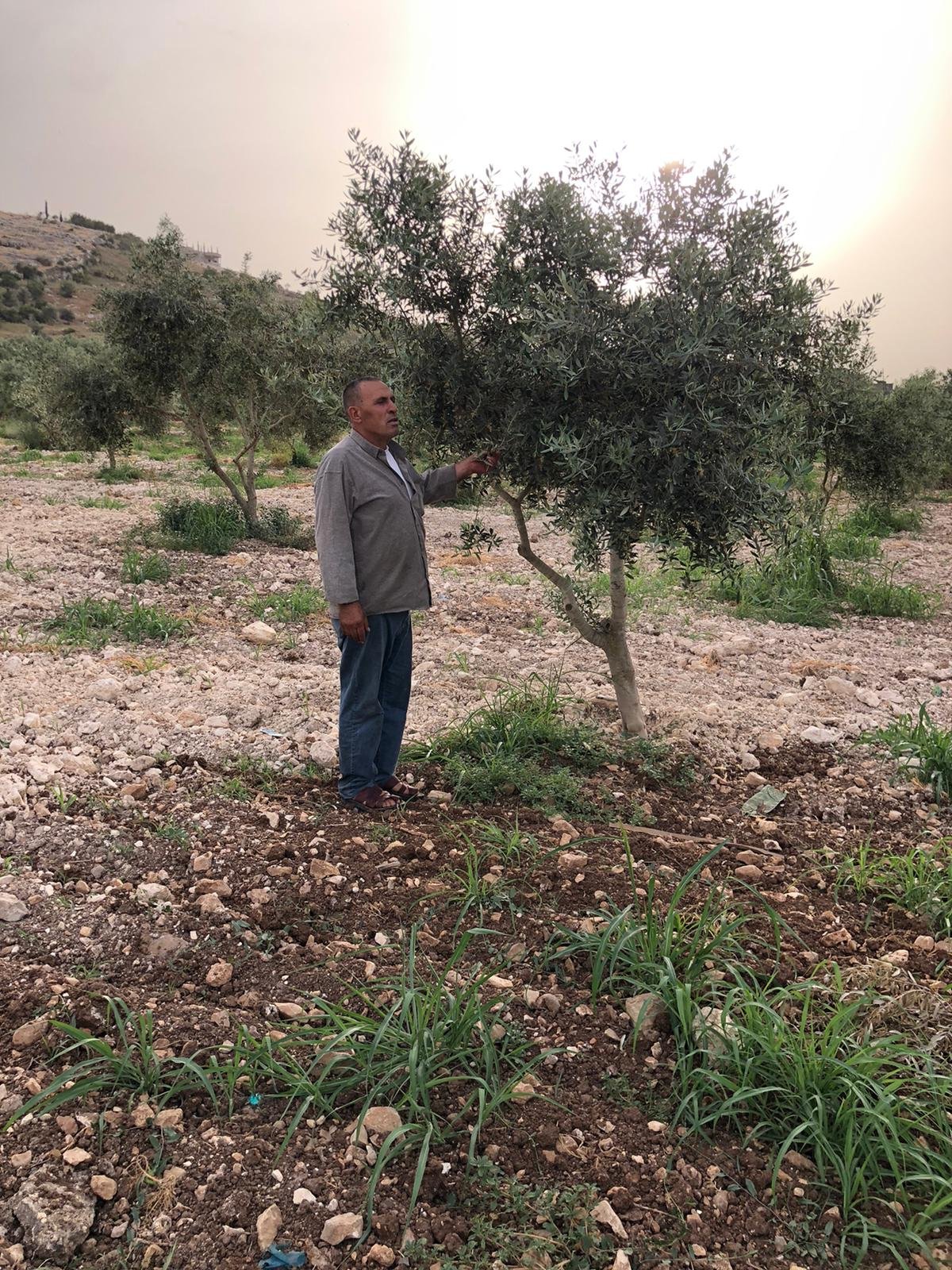Jehad Talalweh - artolio.world | The Best EVOO in the Mediterranean